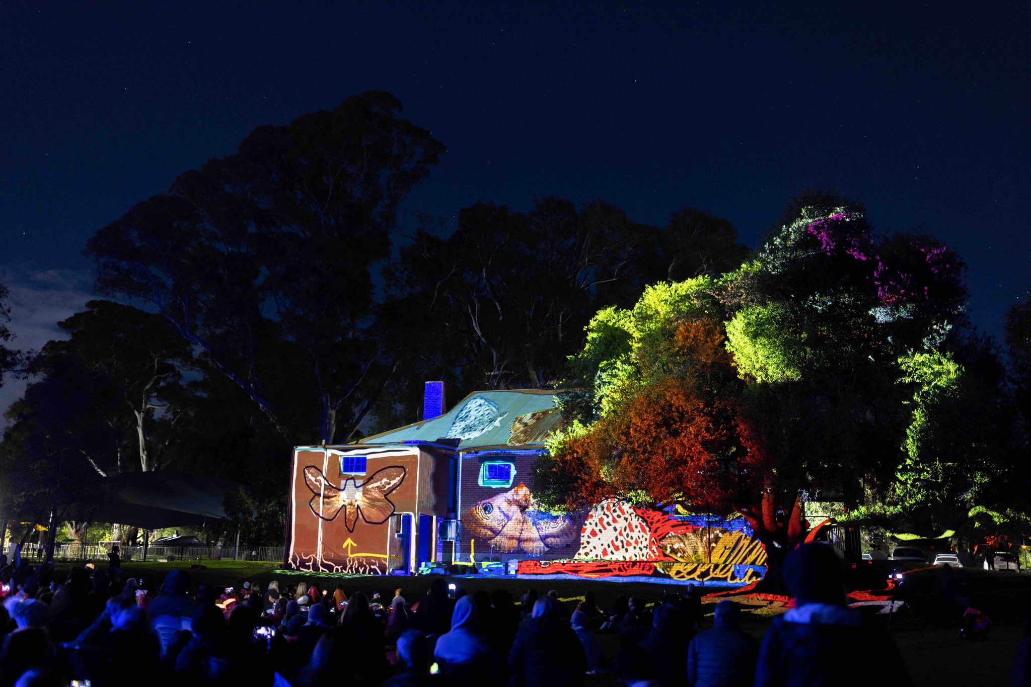 Current & Upcoming Projects - OSCA