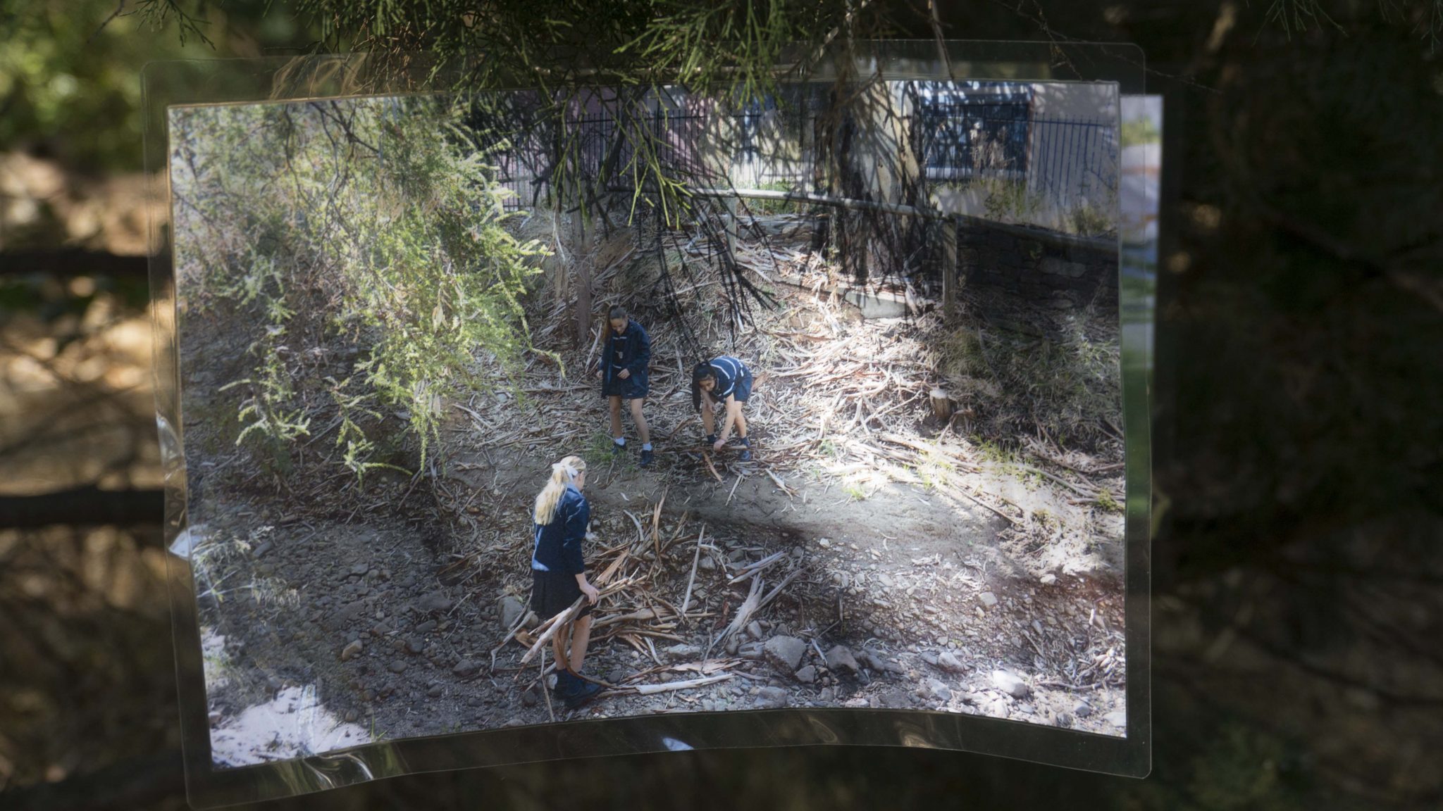 PROJECTS OF EVERYDAY - OSCA