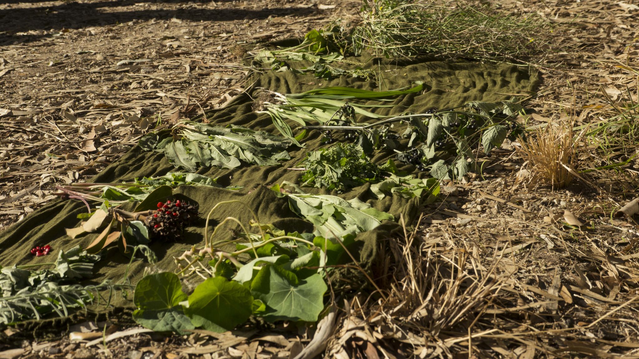 PROJECTS OF EVERYDAY - OSCA