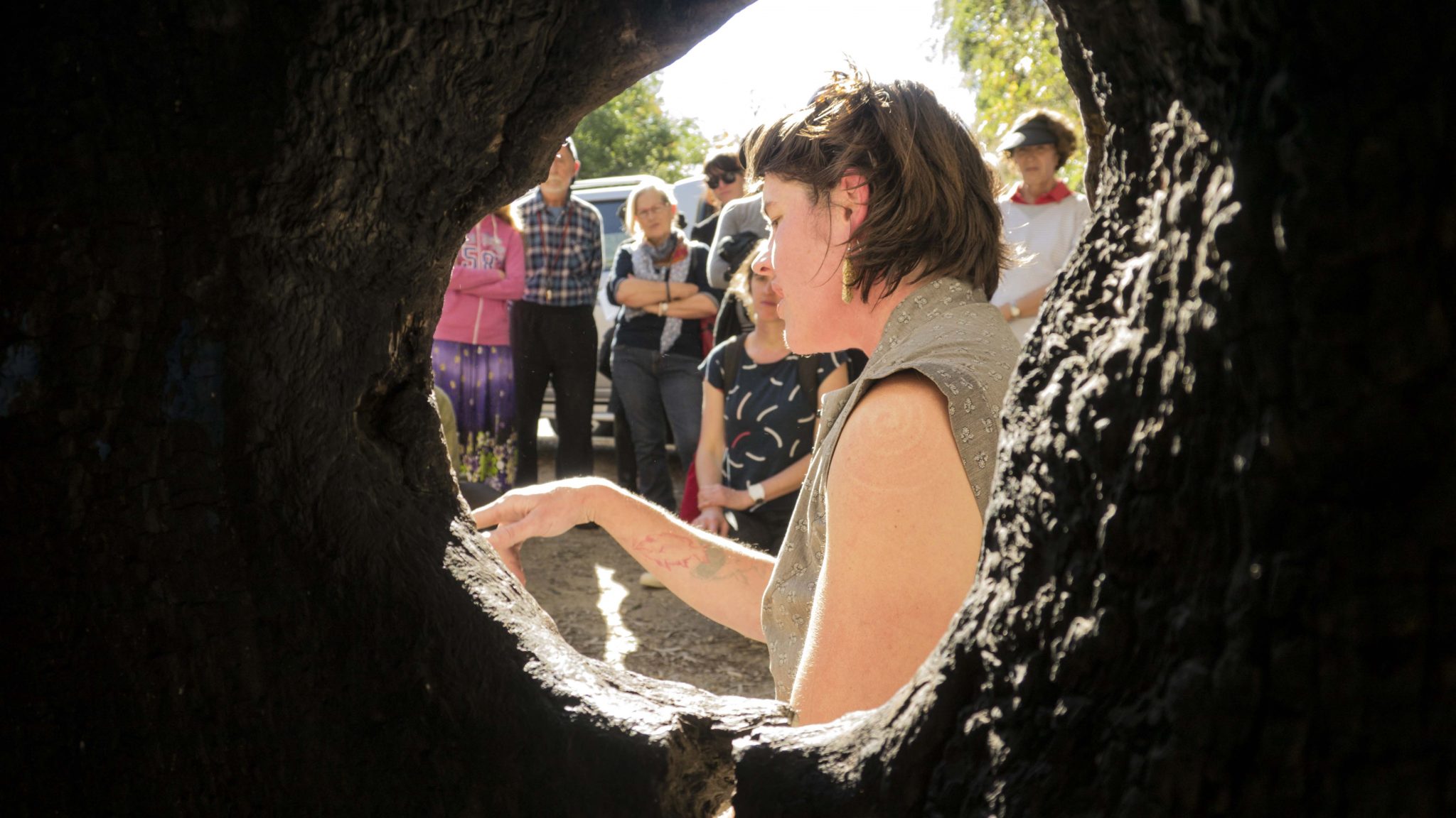 PROJECTS OF EVERYDAY - OSCA